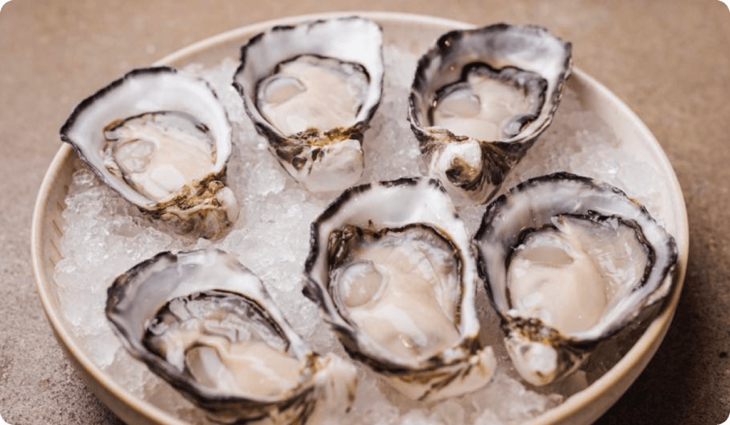 9 Best Seafood Restaurants in Brisbane, Queensland to Book Now